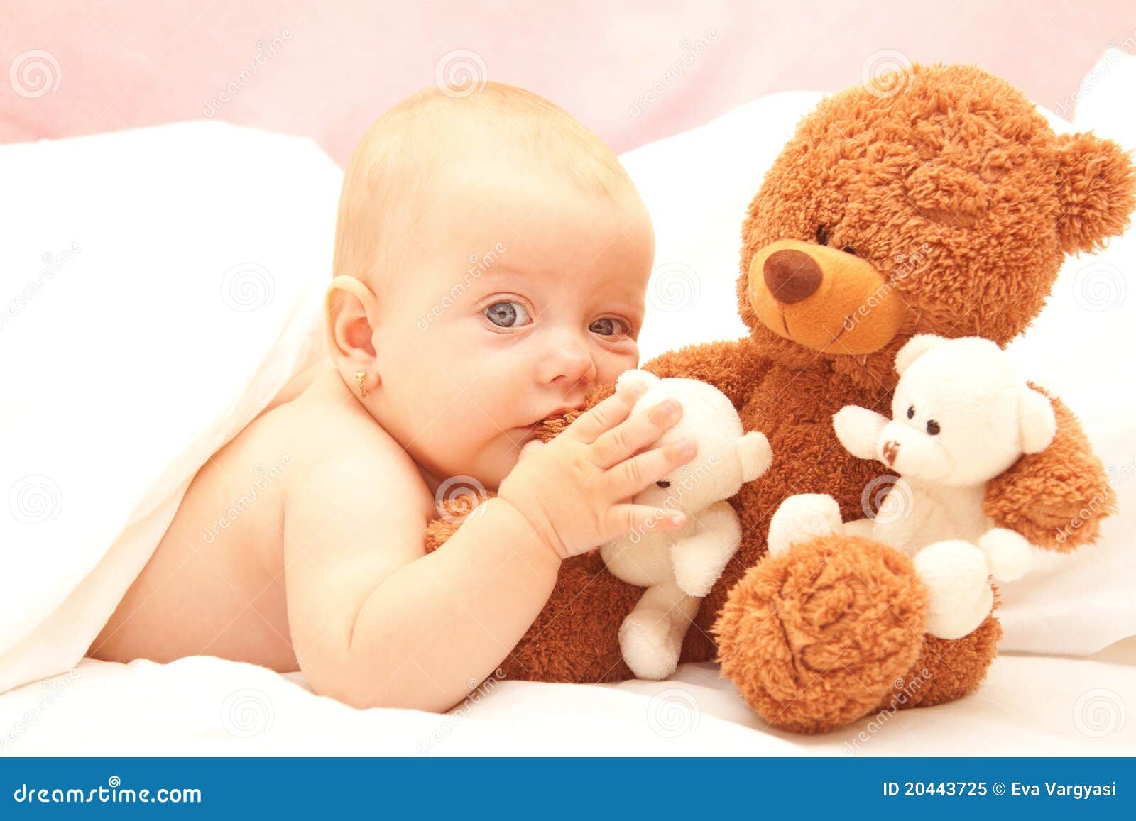 Cute Baby Girl With Teddy Bear