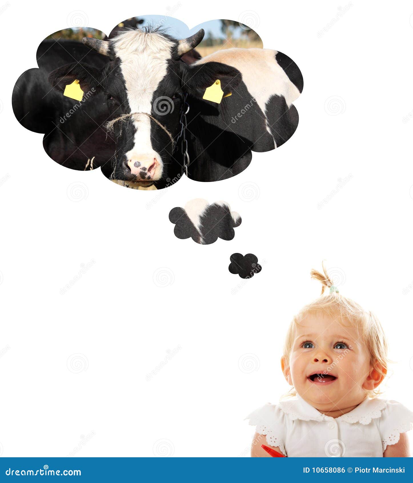 Baby Girl Thinking about Cow (milk) Stock Photo - Image of country ...