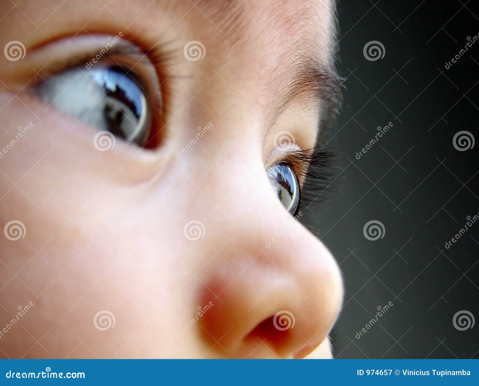 Baby Glance stock image. Image of hair, brow, close, look - 974657