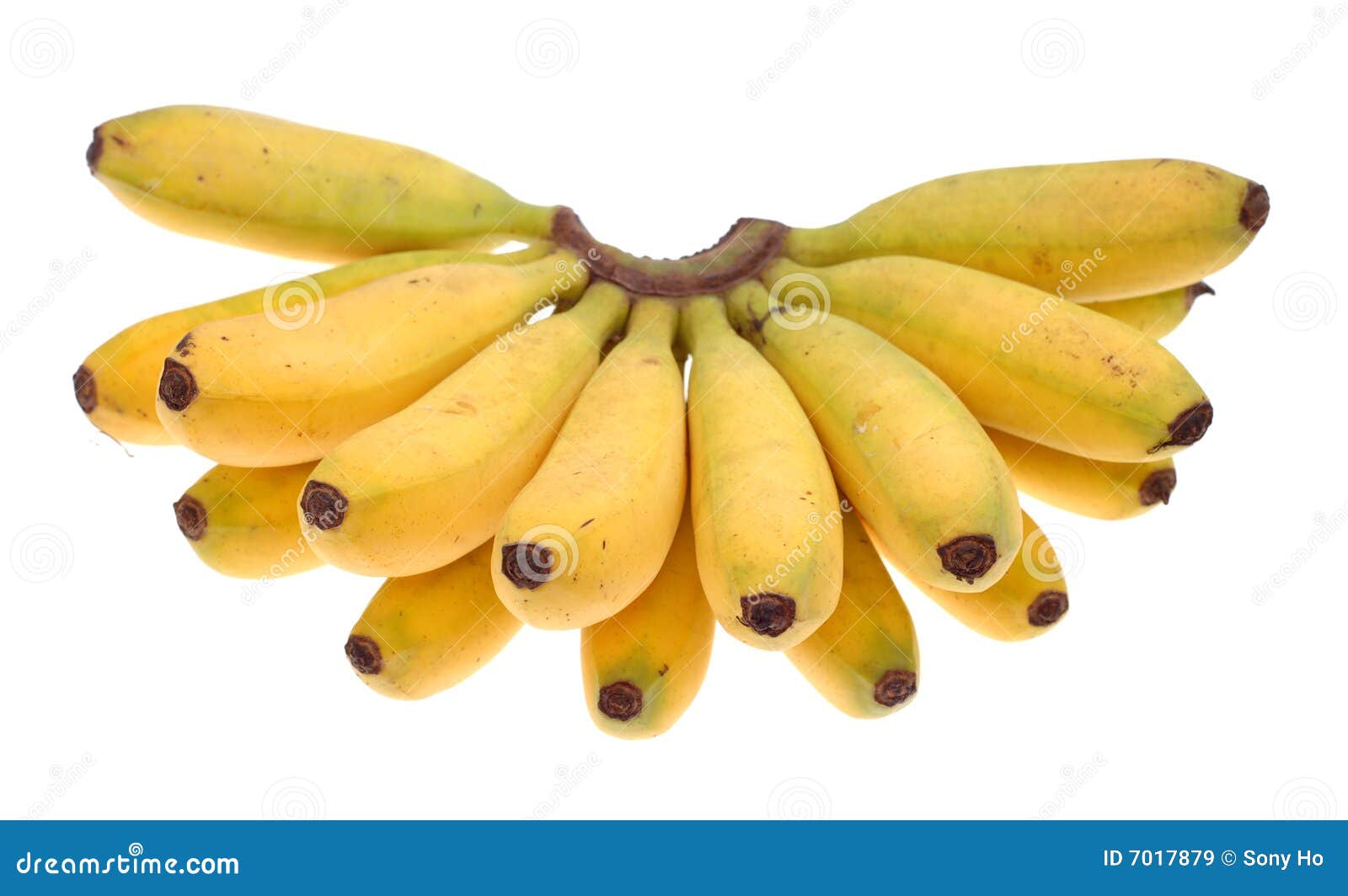 Baby gouden banaan stock afbeelding. Image of vegetariër - 7017879