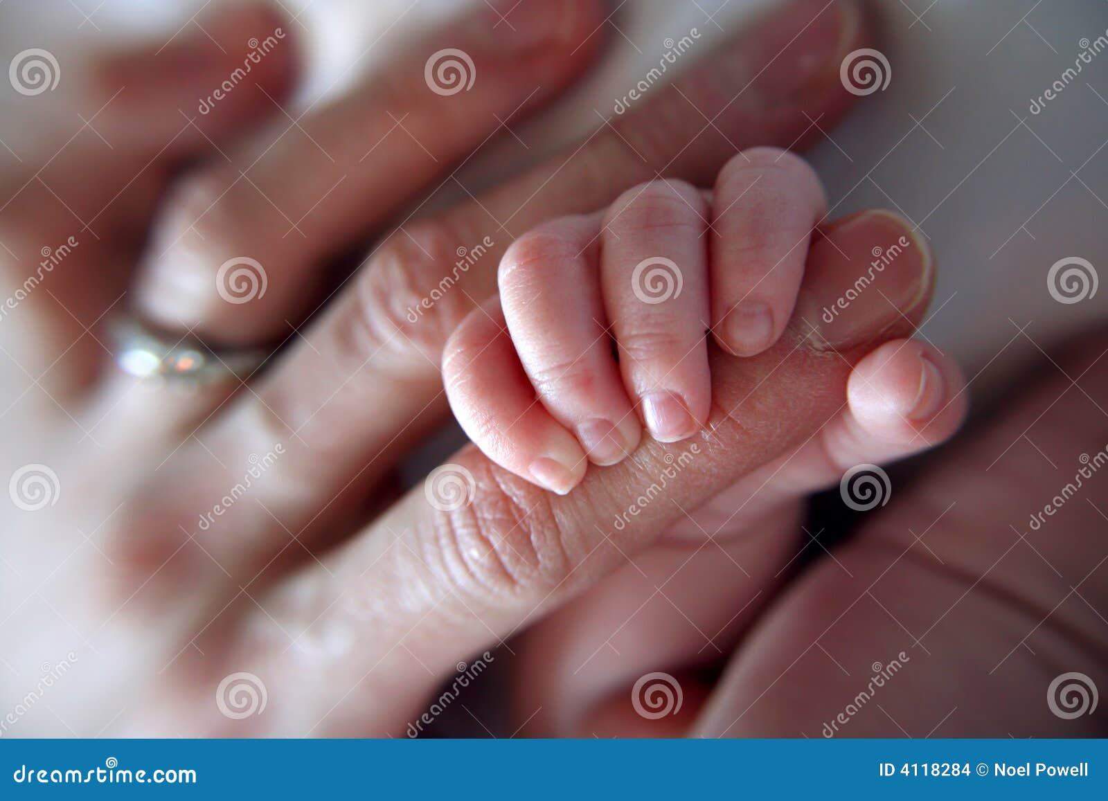 Baby Grasping Finger stock photo. Image of parenthood - 4118284