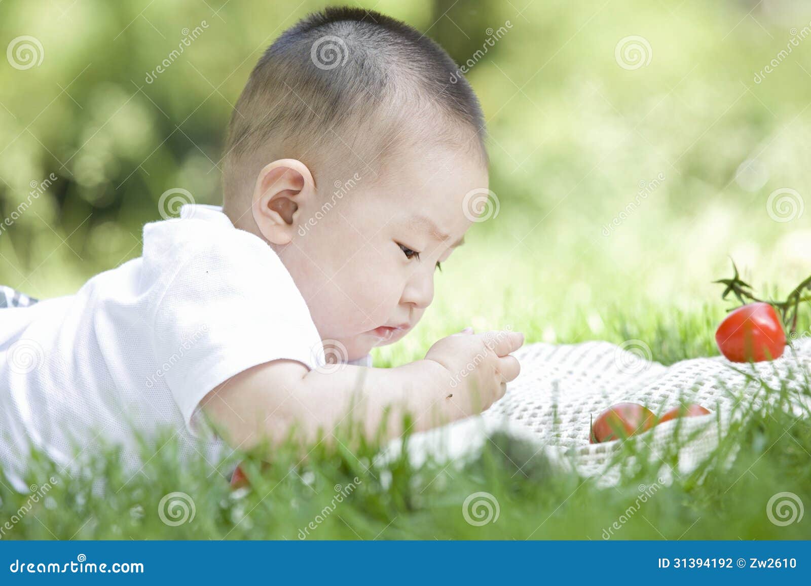 A baby on grass stock photo. Image of lovely, chinese - 31394192