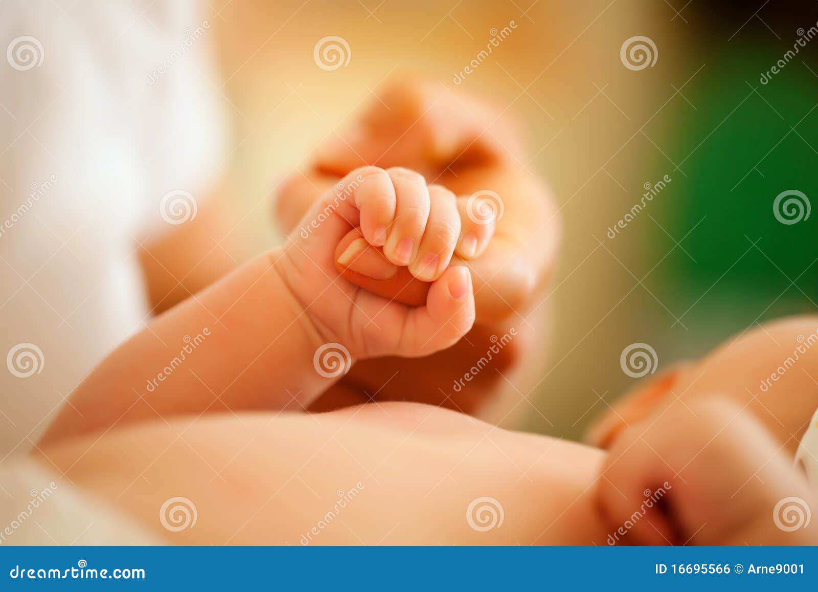 Baby Gripping Hand of Mother Stock Photo - Image of secure, care: 16695566