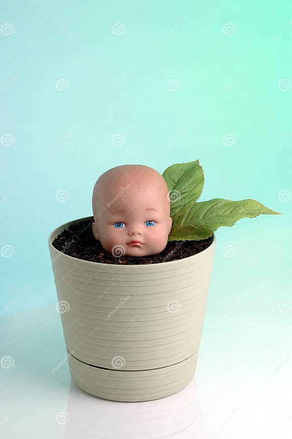Baby Growing 1 stock photo. Image of baby, health, gardening - 519218