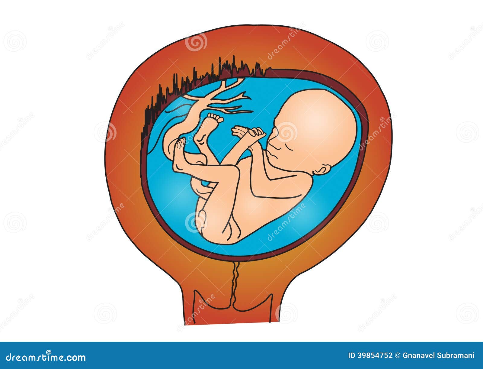 Baby is Growing and Developing Stock Illustration - Illustration of ...