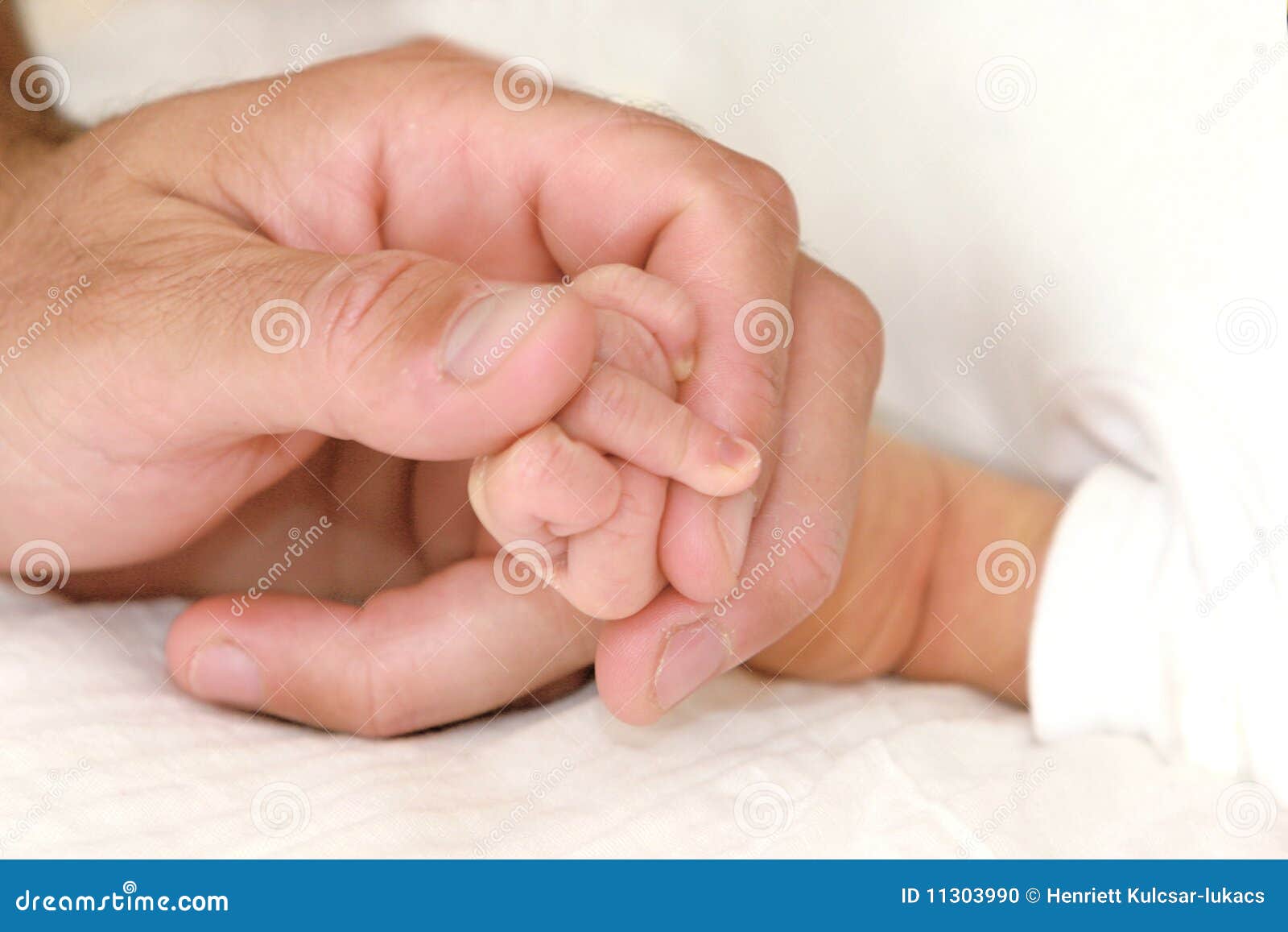 Baby hand stock photo. Image of people, baby, life, love - 11303990