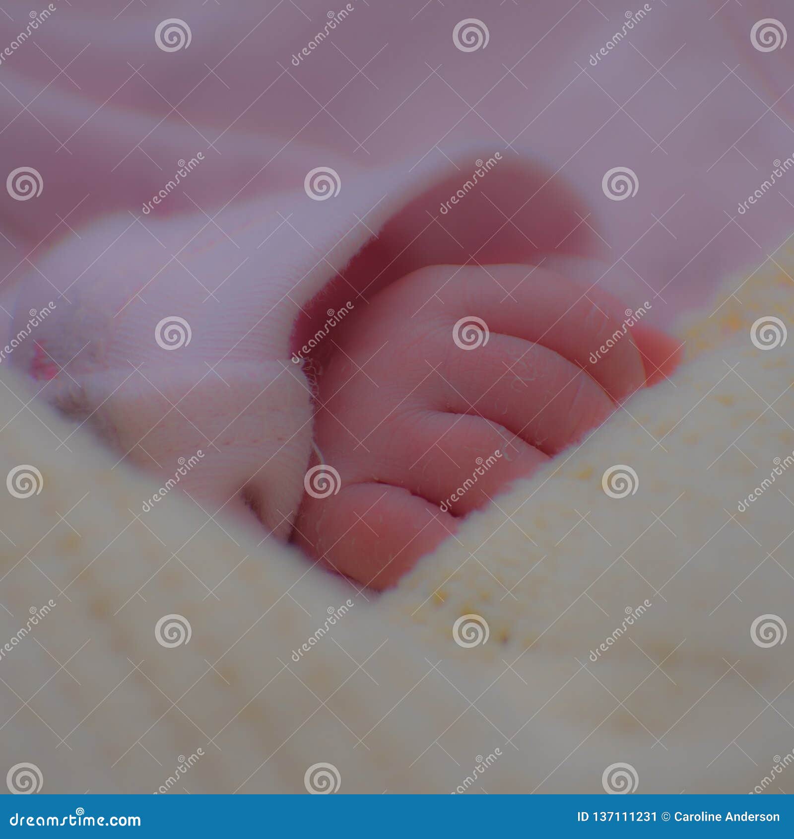 Baby Hand, with Pastel Colors Stock Image - Image of pure, life: 137111231