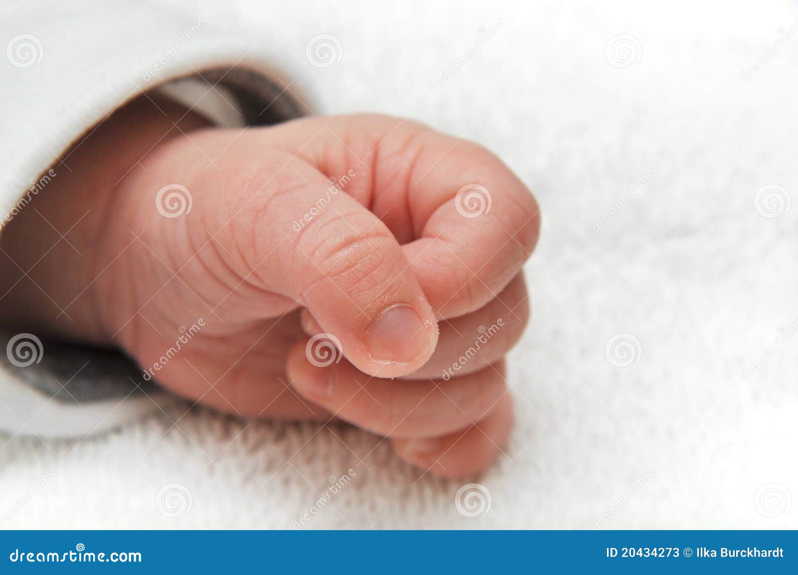 Baby hand stock image. Image of fist, child, little, fingers - 20434273