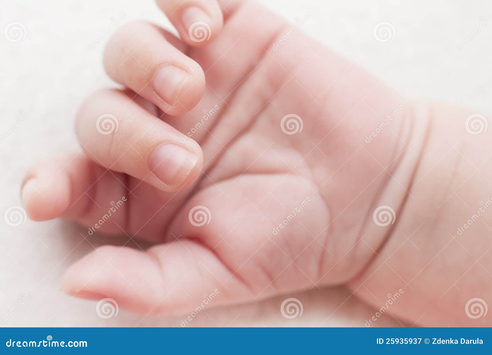 Baby hand stock image. Image of human, born, nail, baby - 25935937