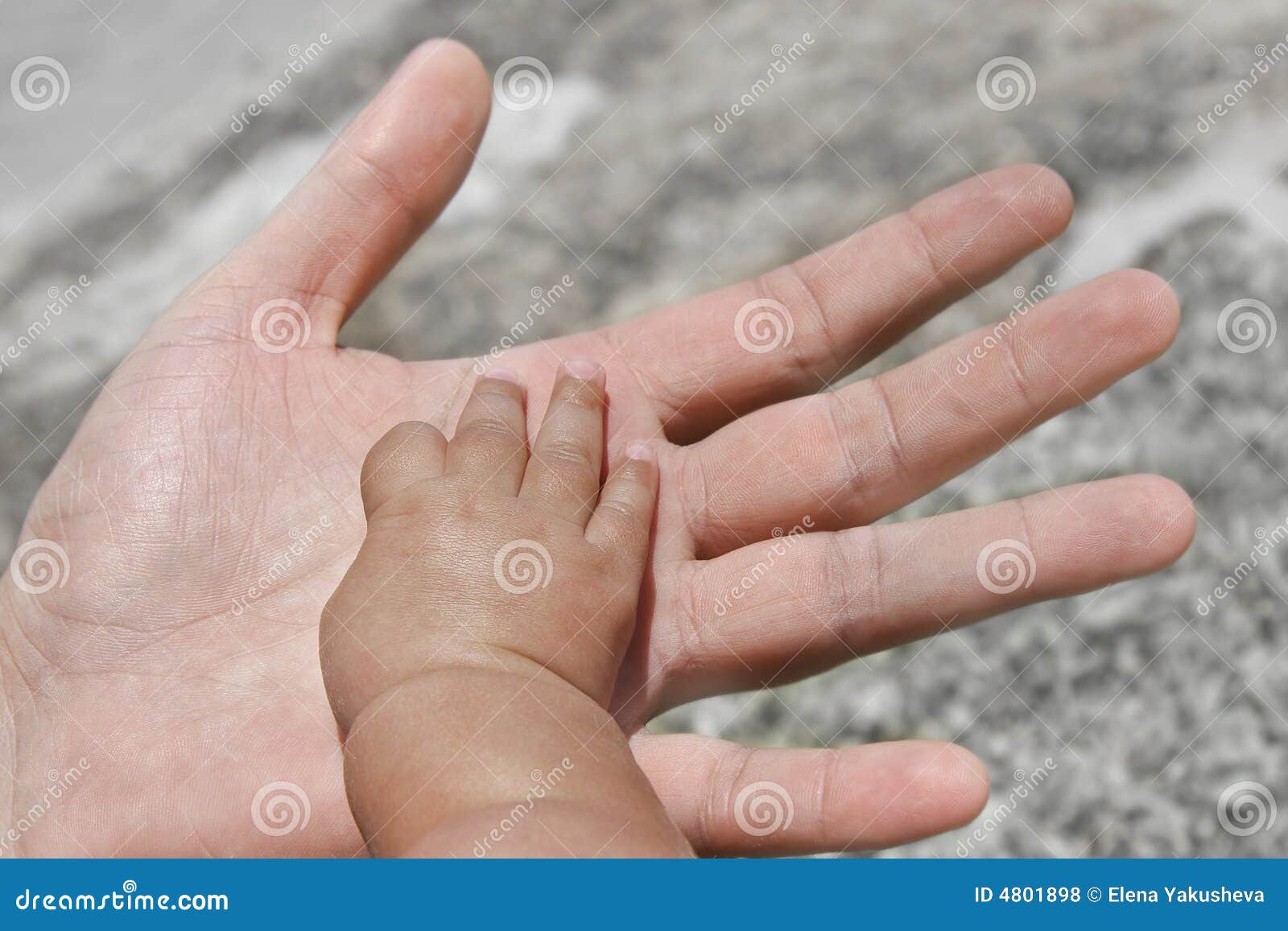 Baby Hand Picture. Image: 4801898