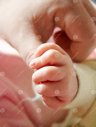 Baby hand stock image. Image of considerate, hand, babysitter - 4892439