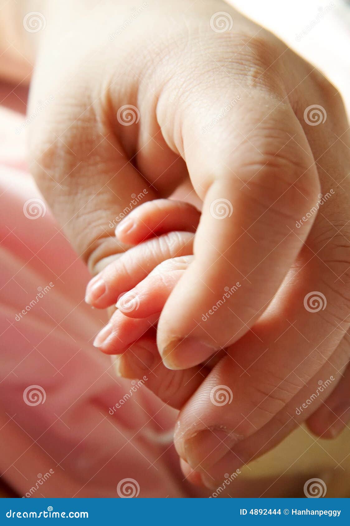 Baby hand stock photo. Image of child, concept, hold, family - 4892444