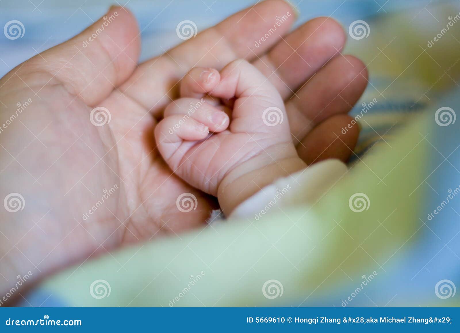 Baby hand stock photo. Image of fatherhood, grasp, cooperation - 5669610