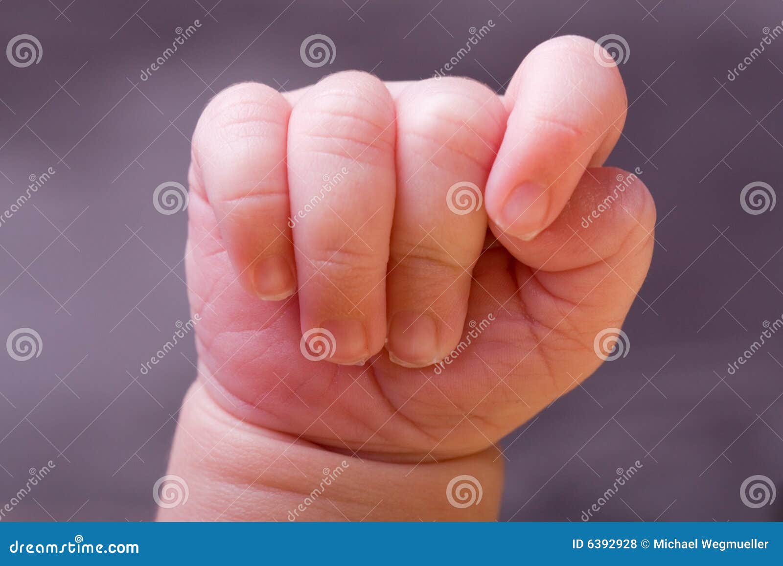 Baby hand stock photo. Image of palm, hand, small, fingers - 6392928