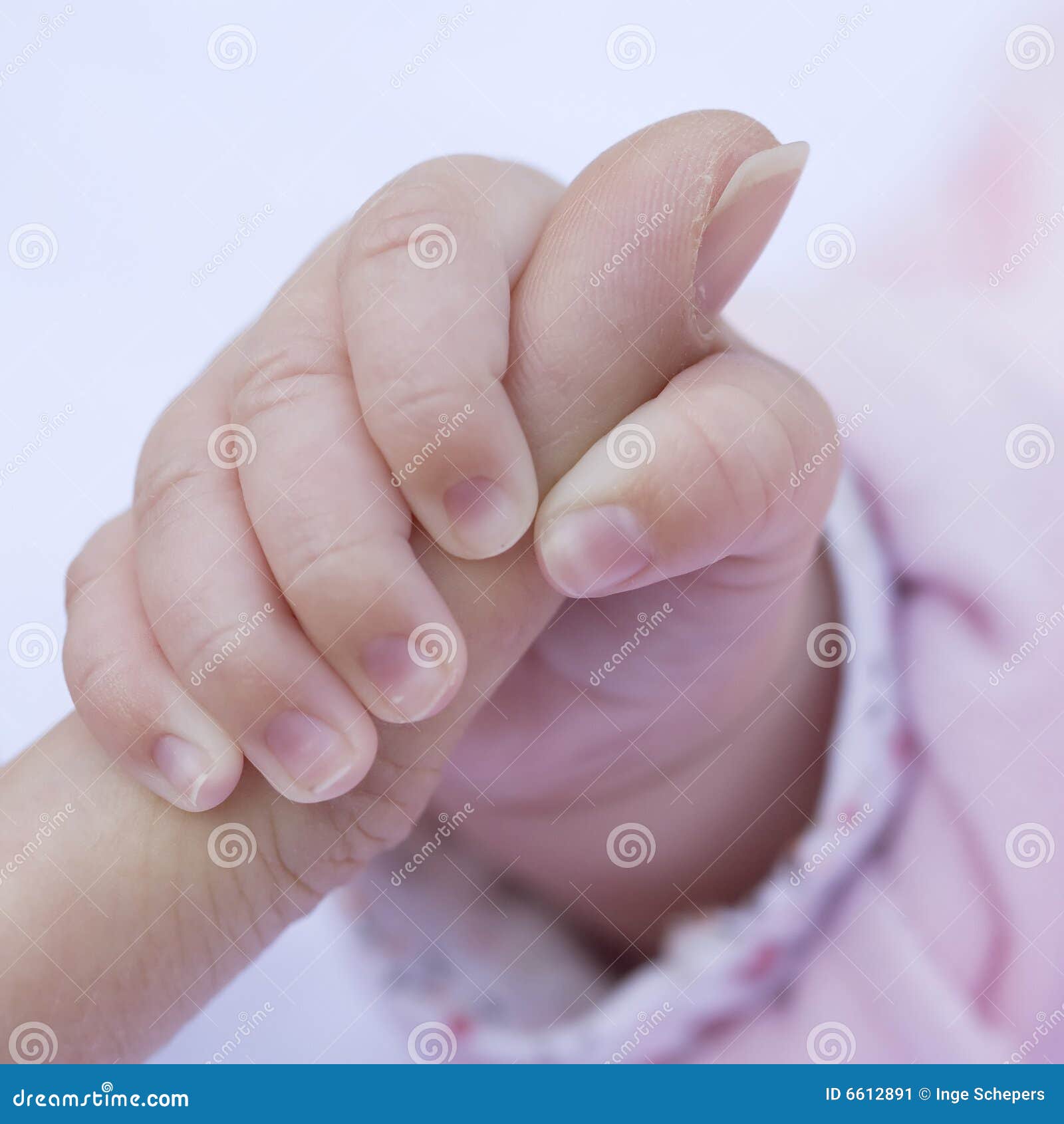 Baby Hand stock image. Image of baby, finger, close, nail - 6612891
