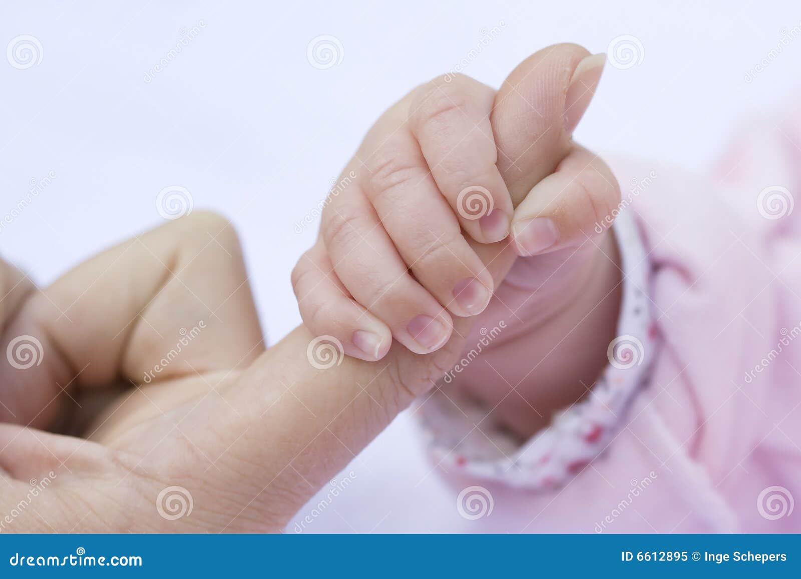 Baby Hand stock image. Image of hand, baby, tenderness - 6612895