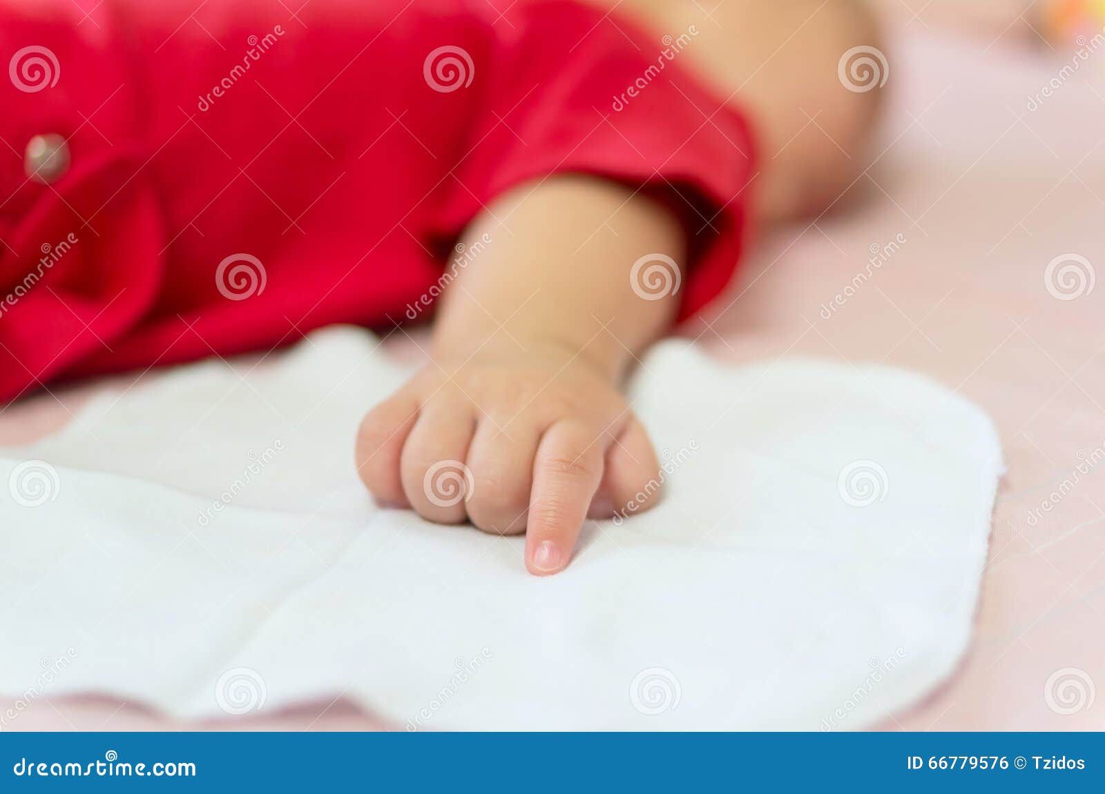Baby hand on the bed stock photo. Image of infant, cute - 66779576