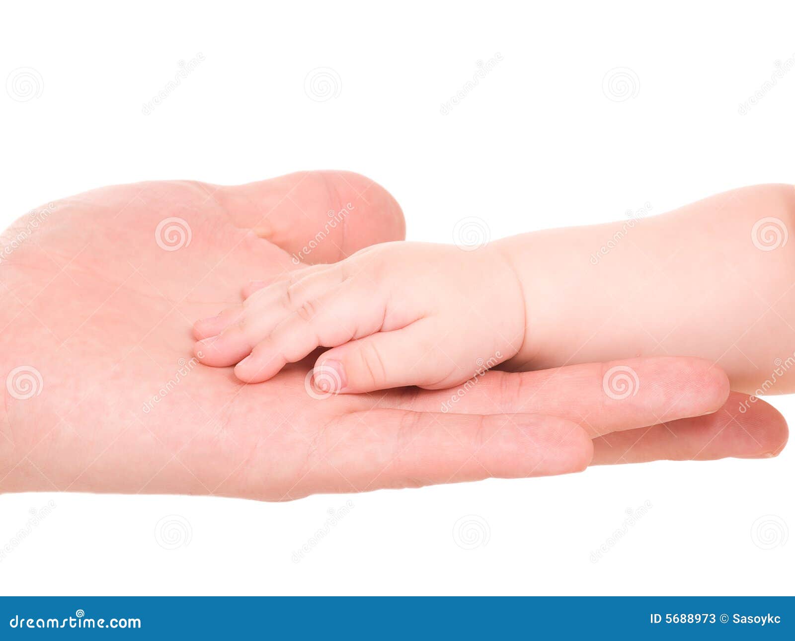 Baby hand on father s hand stock image. Image of holding - 5688973