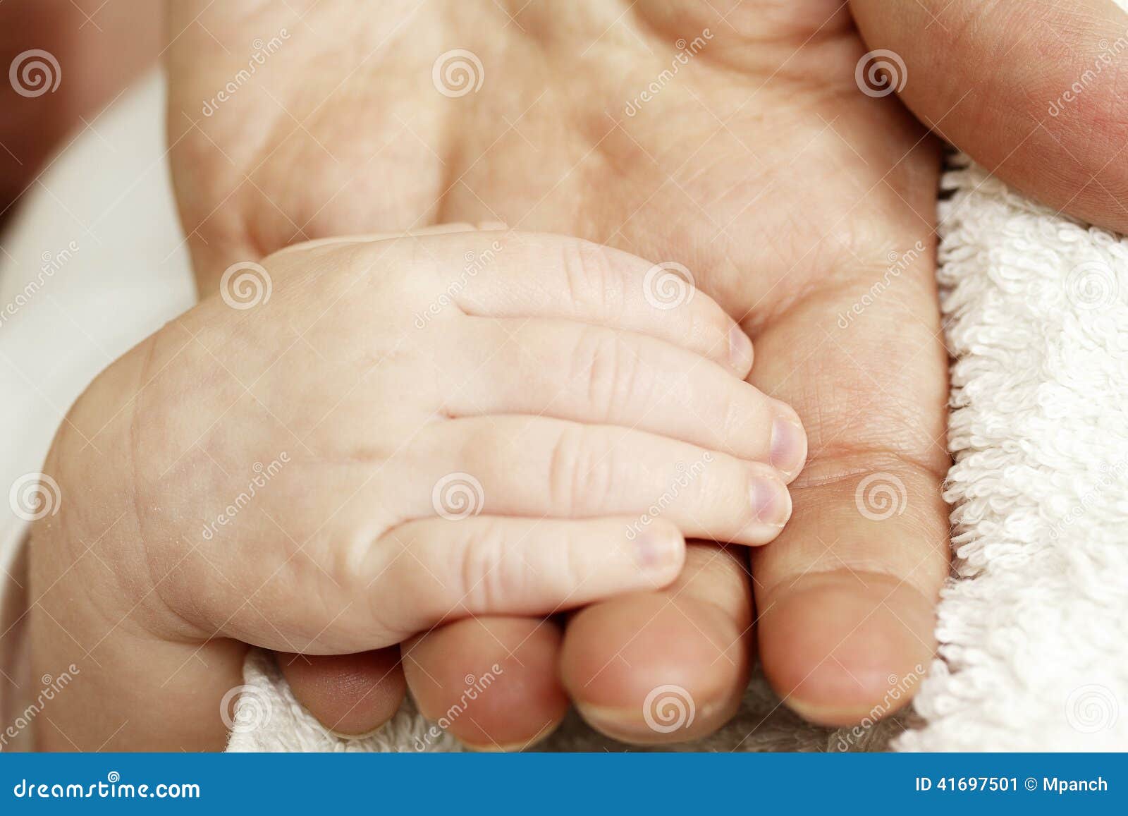 Baby hand stock image. Image of family, parent, finger - 41697501