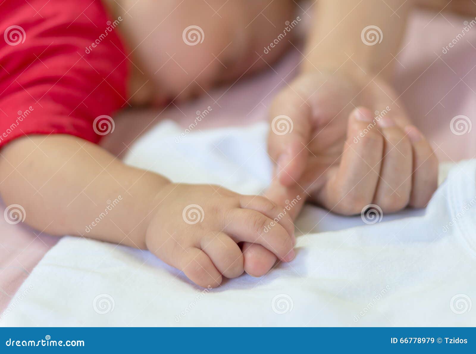 Baby Hand Gently Holding Mom Finger Stock Image - Image of harmony ...
