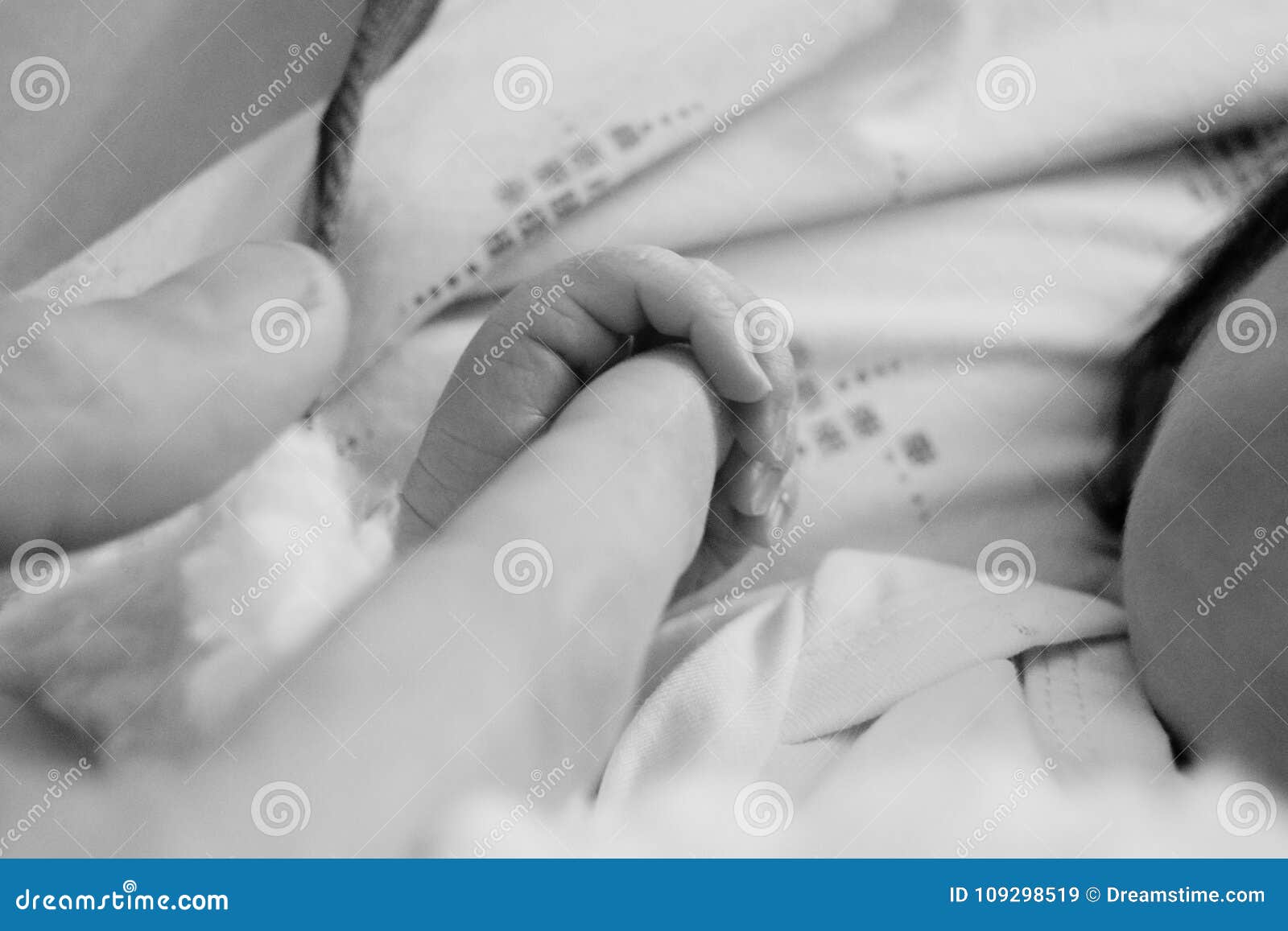Baby Hand stock image. Image of baby, newborn, holding - 109298519