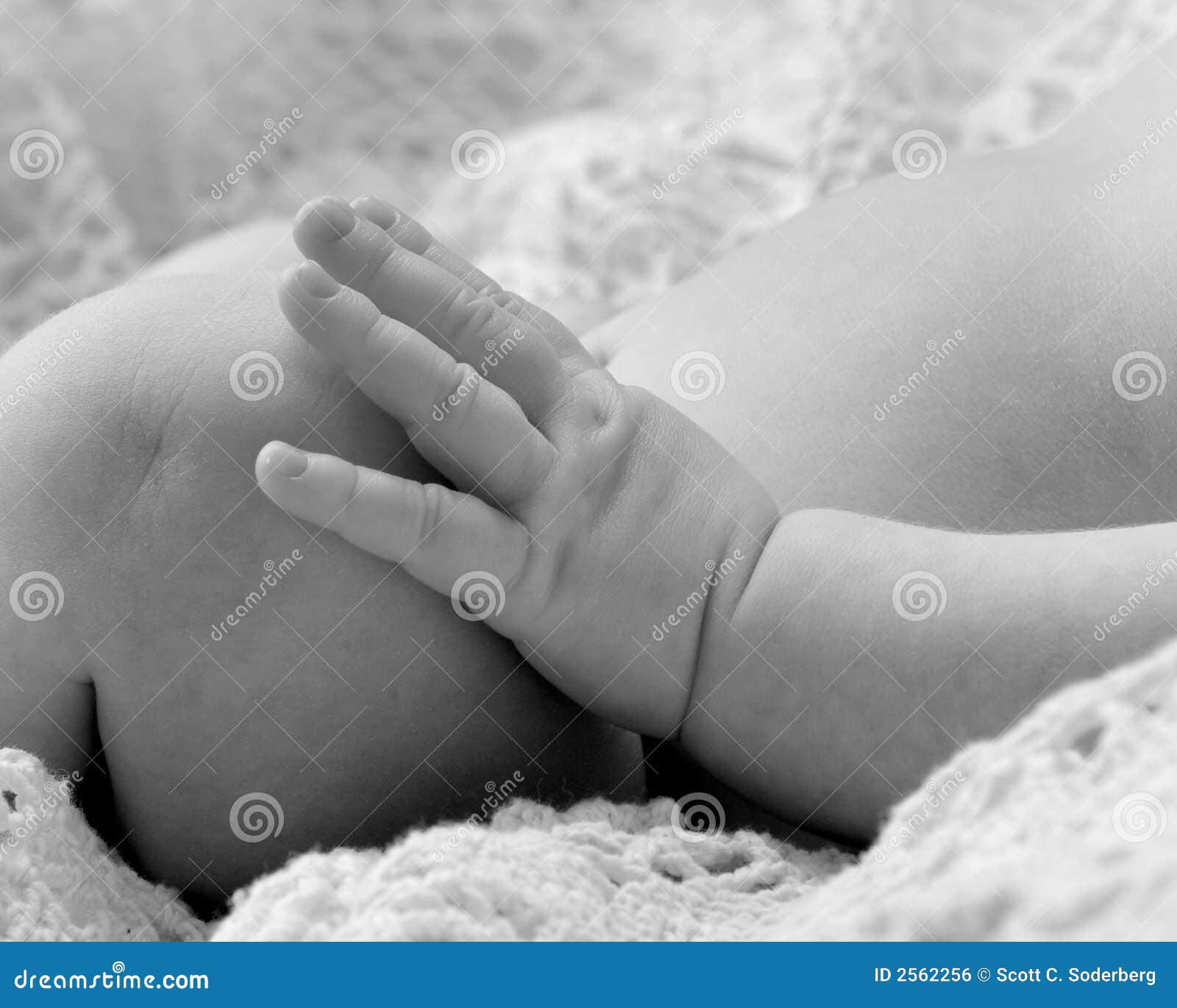 Baby hand and knee stock photo. Image of dimple, bebe - 2562256