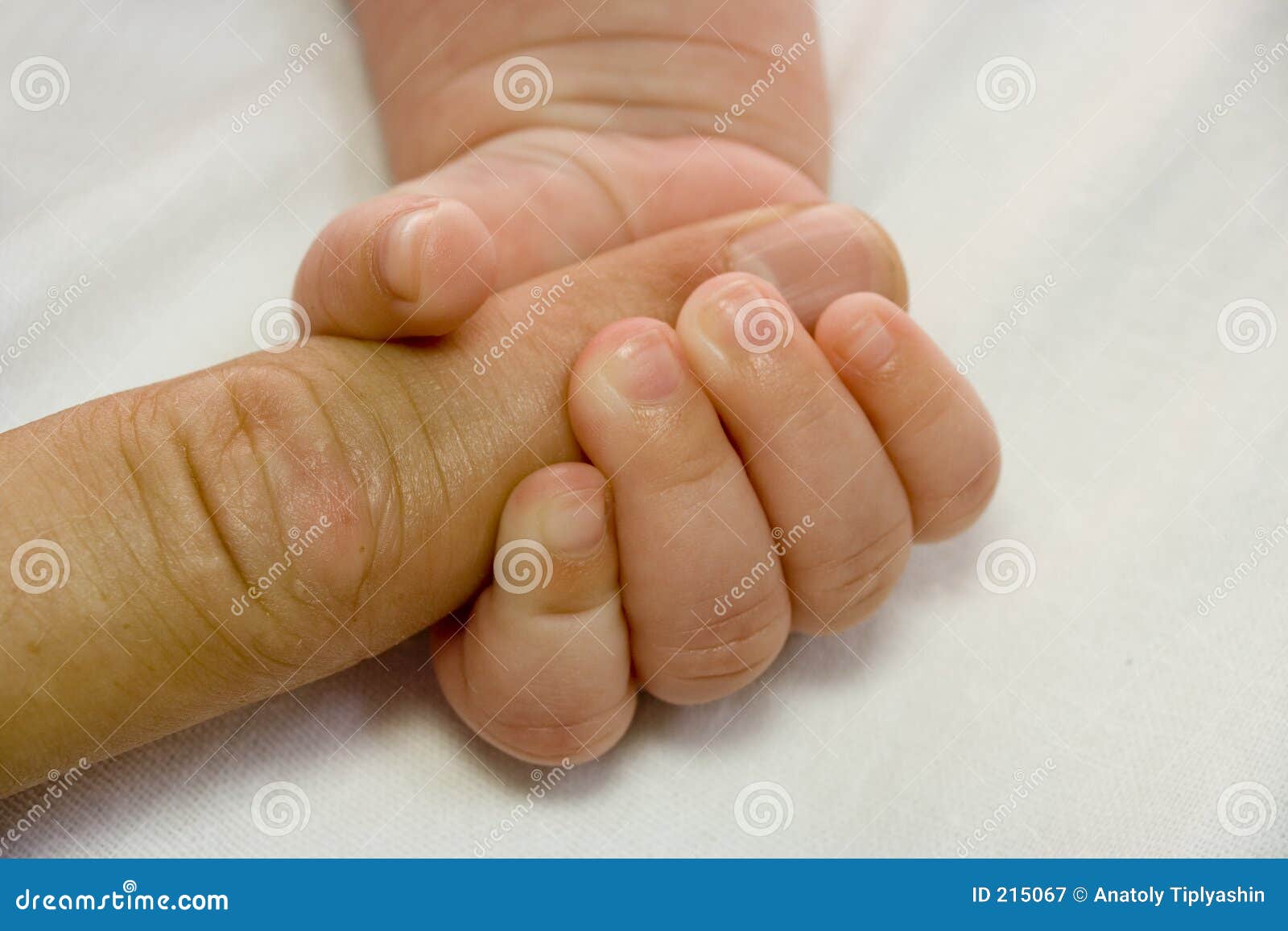 Baby hand and parent arm stock image. Image of parent, childrens - 215067