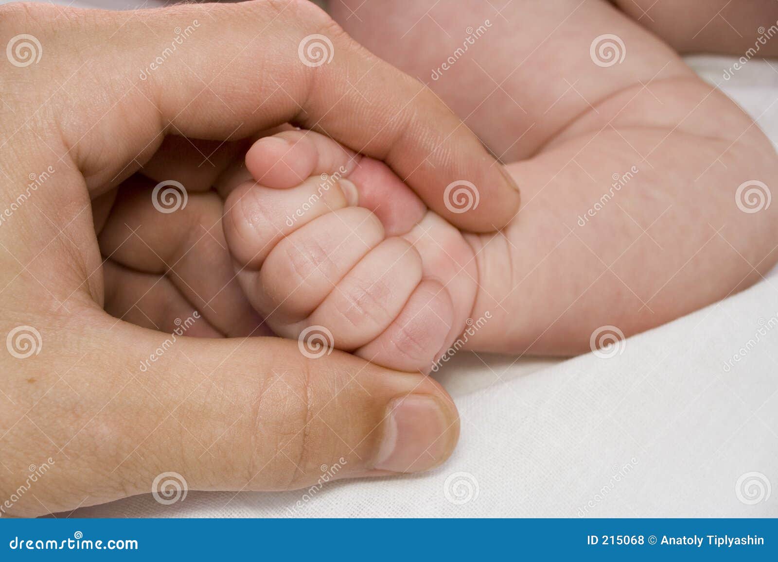 Baby hand and parent arm stock photo. Image of fingers - 215068