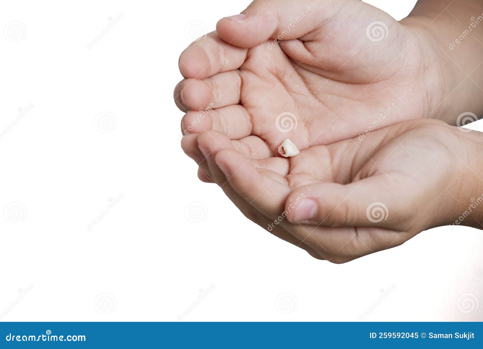 Baby Hand and Baby Teeth on Palm Isolated on a White Background Stock ...