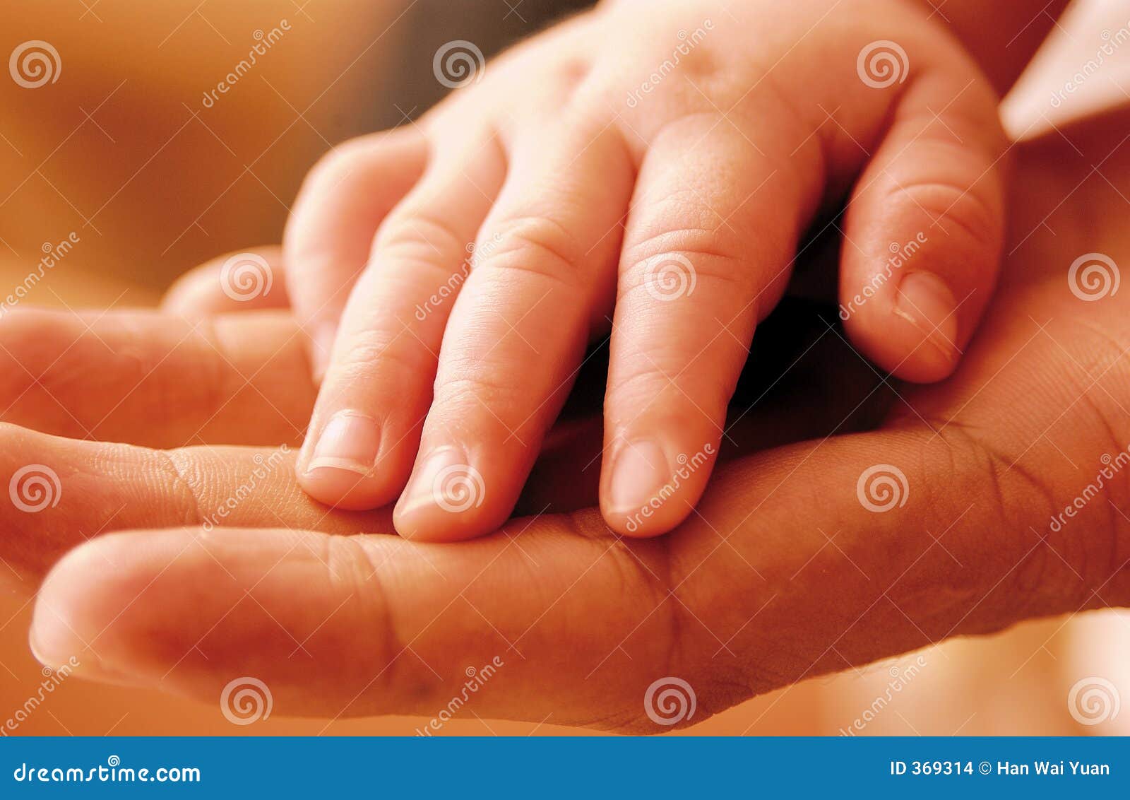 Baby hand3 stock photo. Image of love, people, hand, baby - 369314