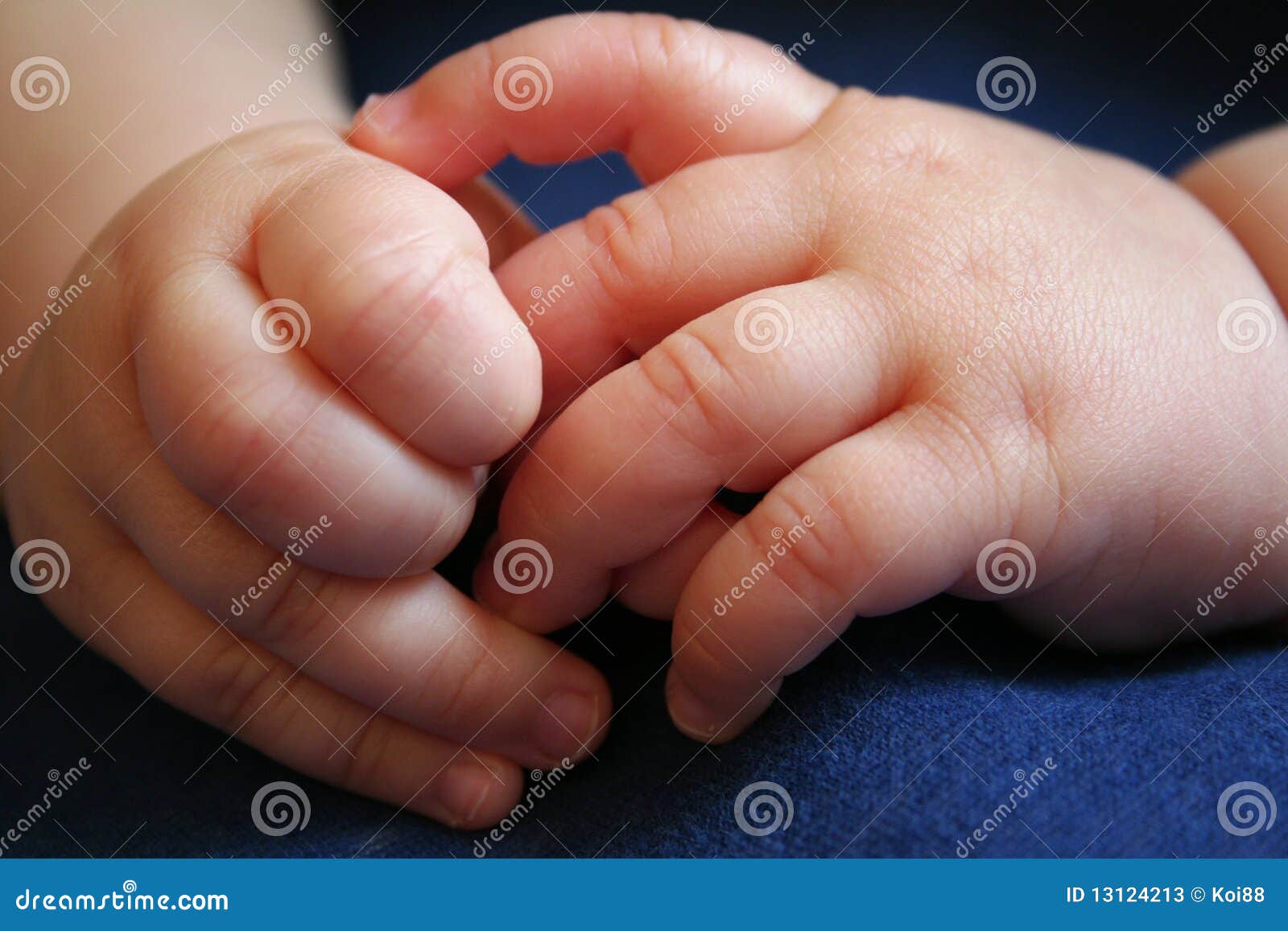 Baby Hands stock image. Image of human, closeup, hands - 13124213