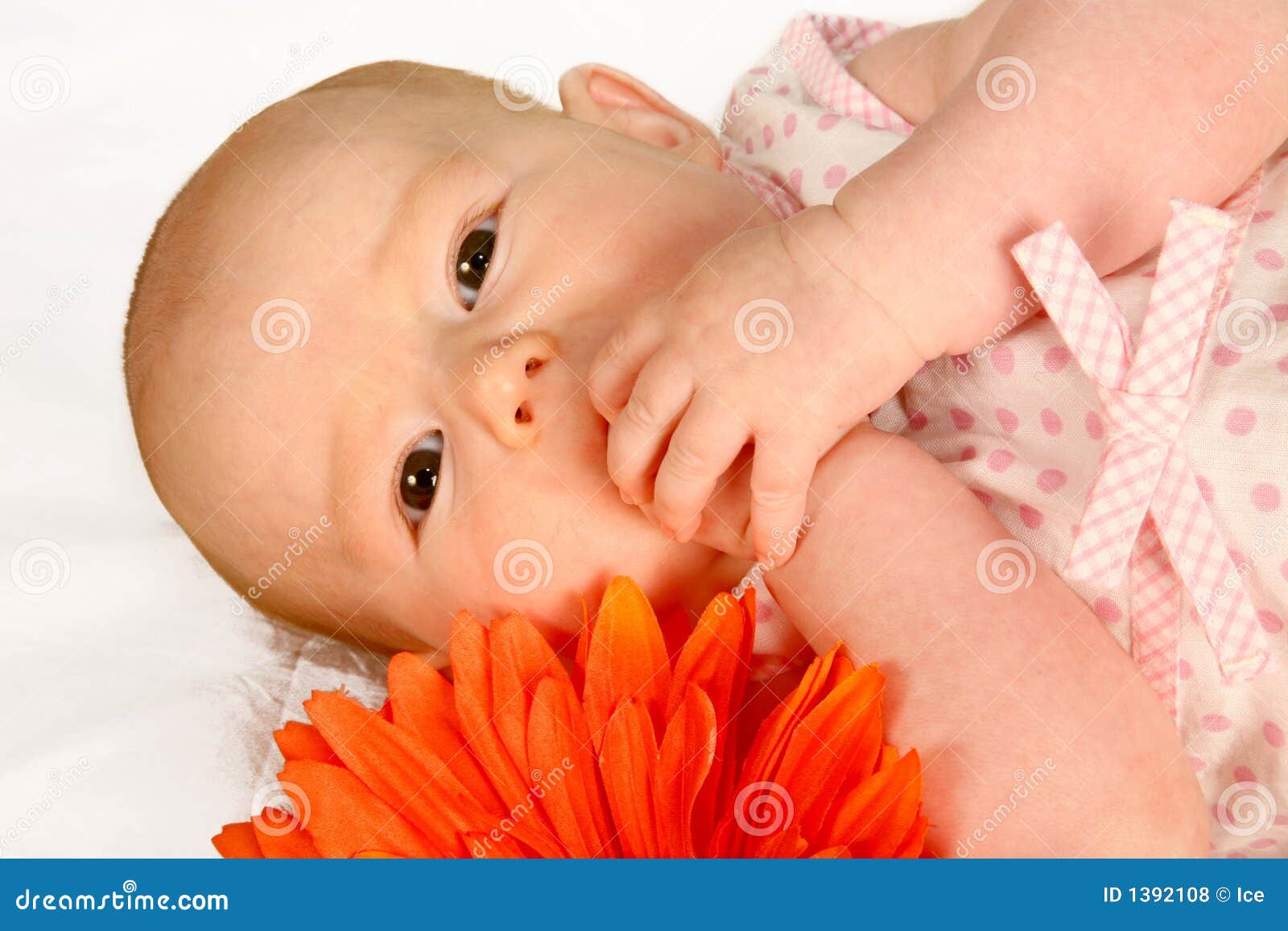 Baby Hands stock photo. Image of close, kids, baby, hand - 1392108