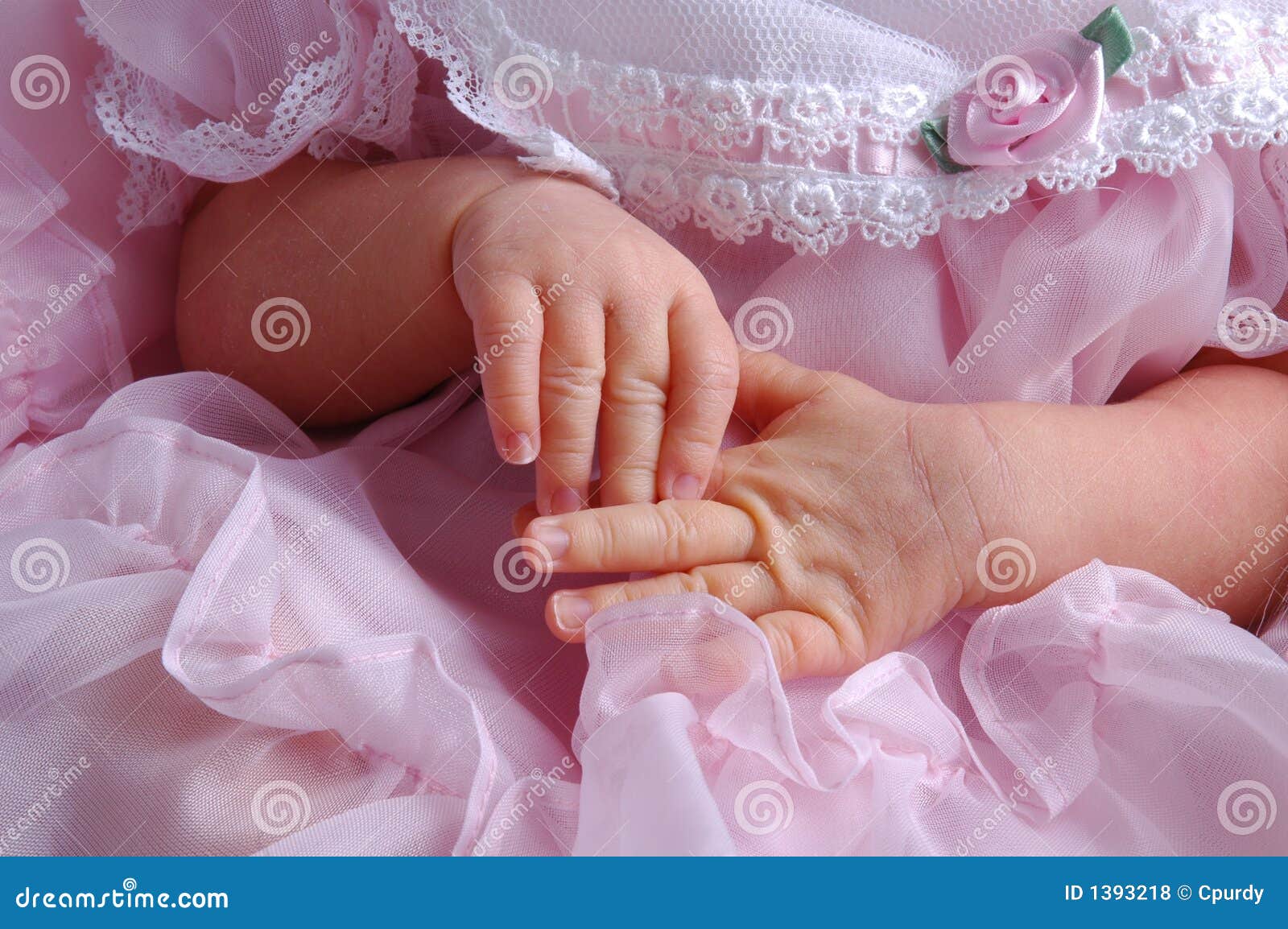 Collection of Baby Bod Bits Photos - Dreamstime ID:4429