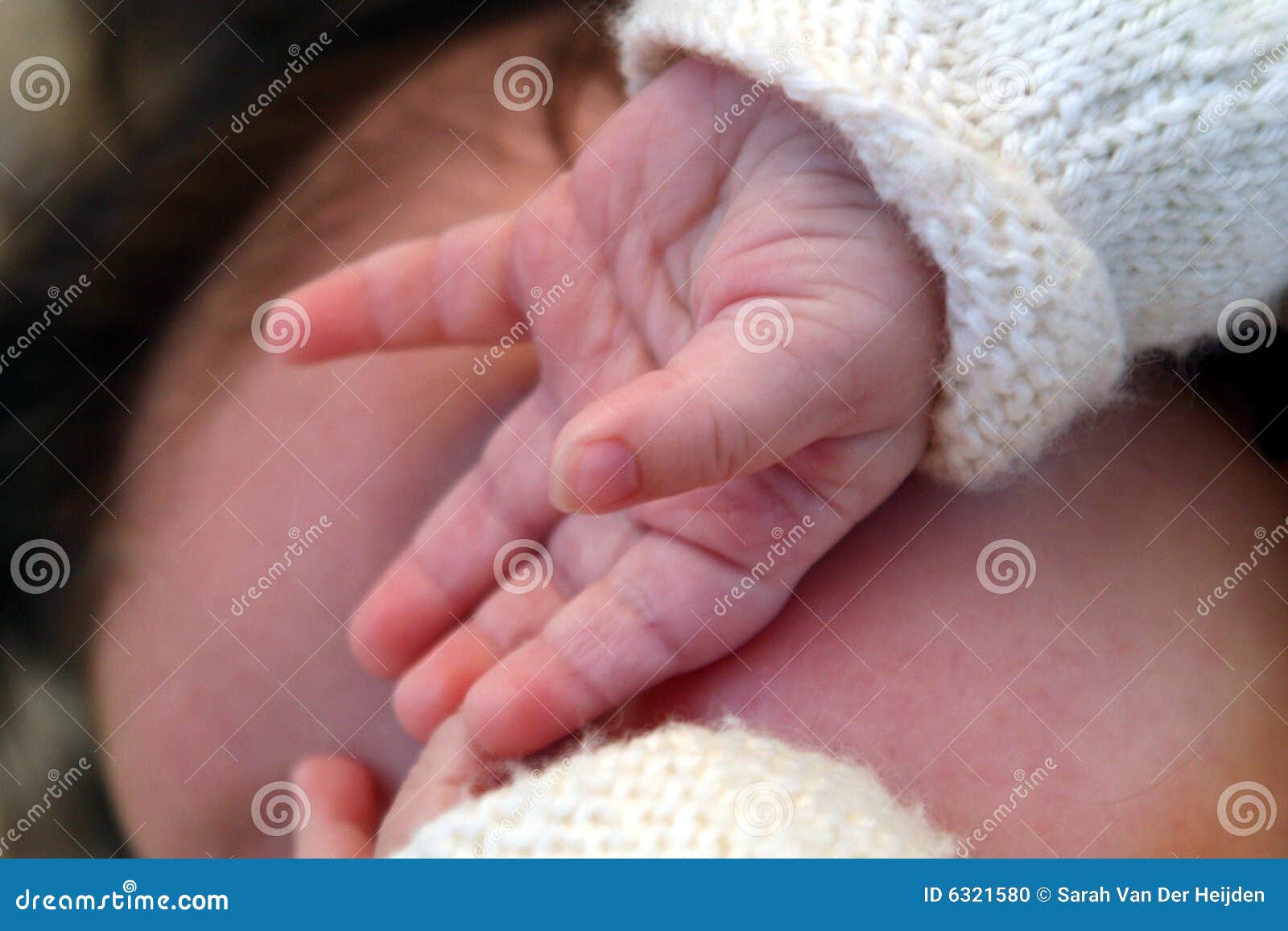 Baby hands stock photo. Image of pastels, baby, dreaming - 6321580