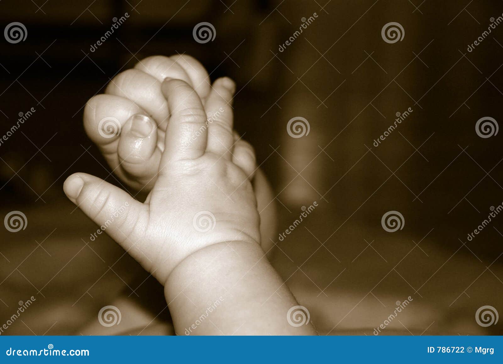 Baby hands stock photo. Image of nail, clutch, hands, fingers - 786722
