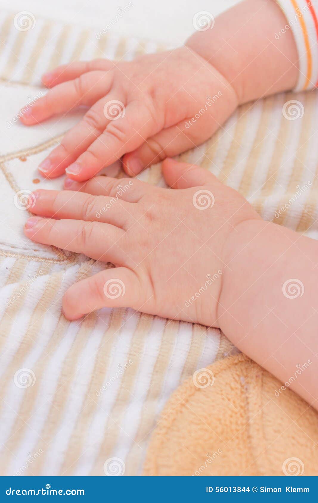 Baby hands stock photo. Image of little, love, human - 56013844