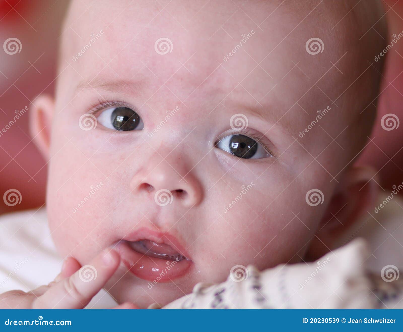 Baby head stock image. Image of head, expressive, children - 20230539