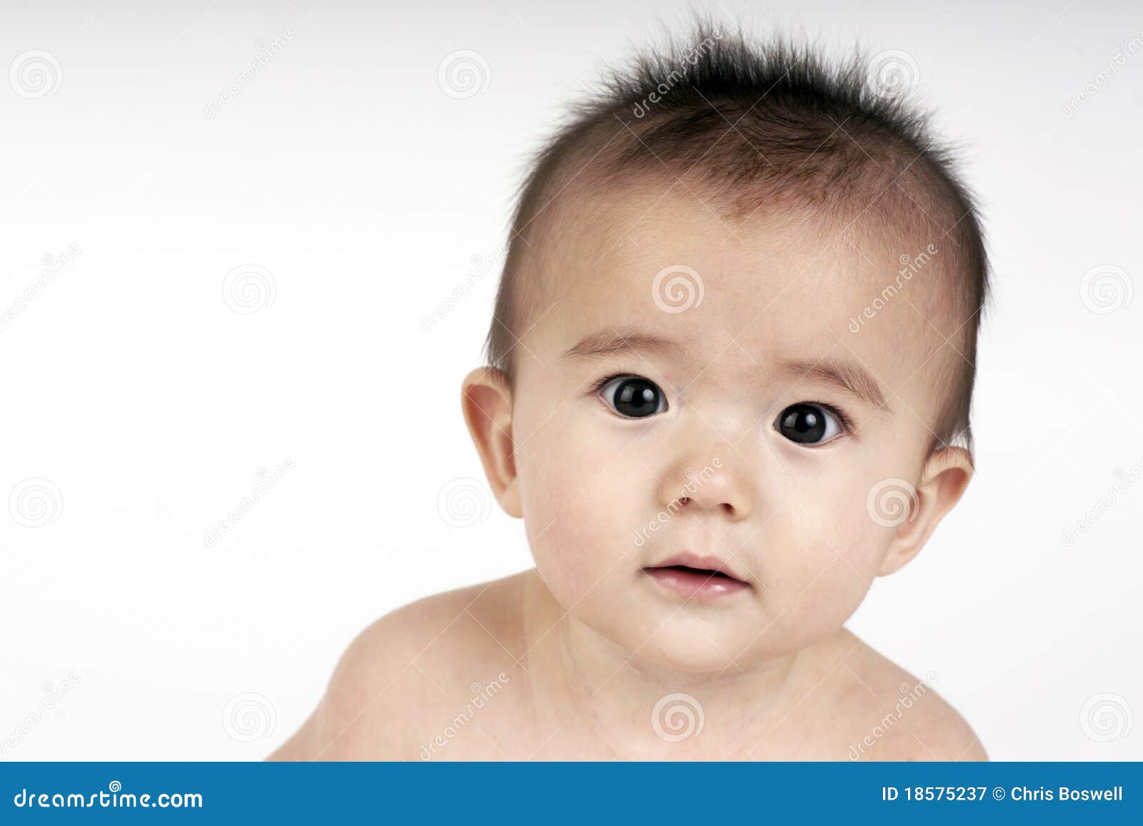 6 Month Old Male Baby Headshot Stock Image - Image of head, children ...
