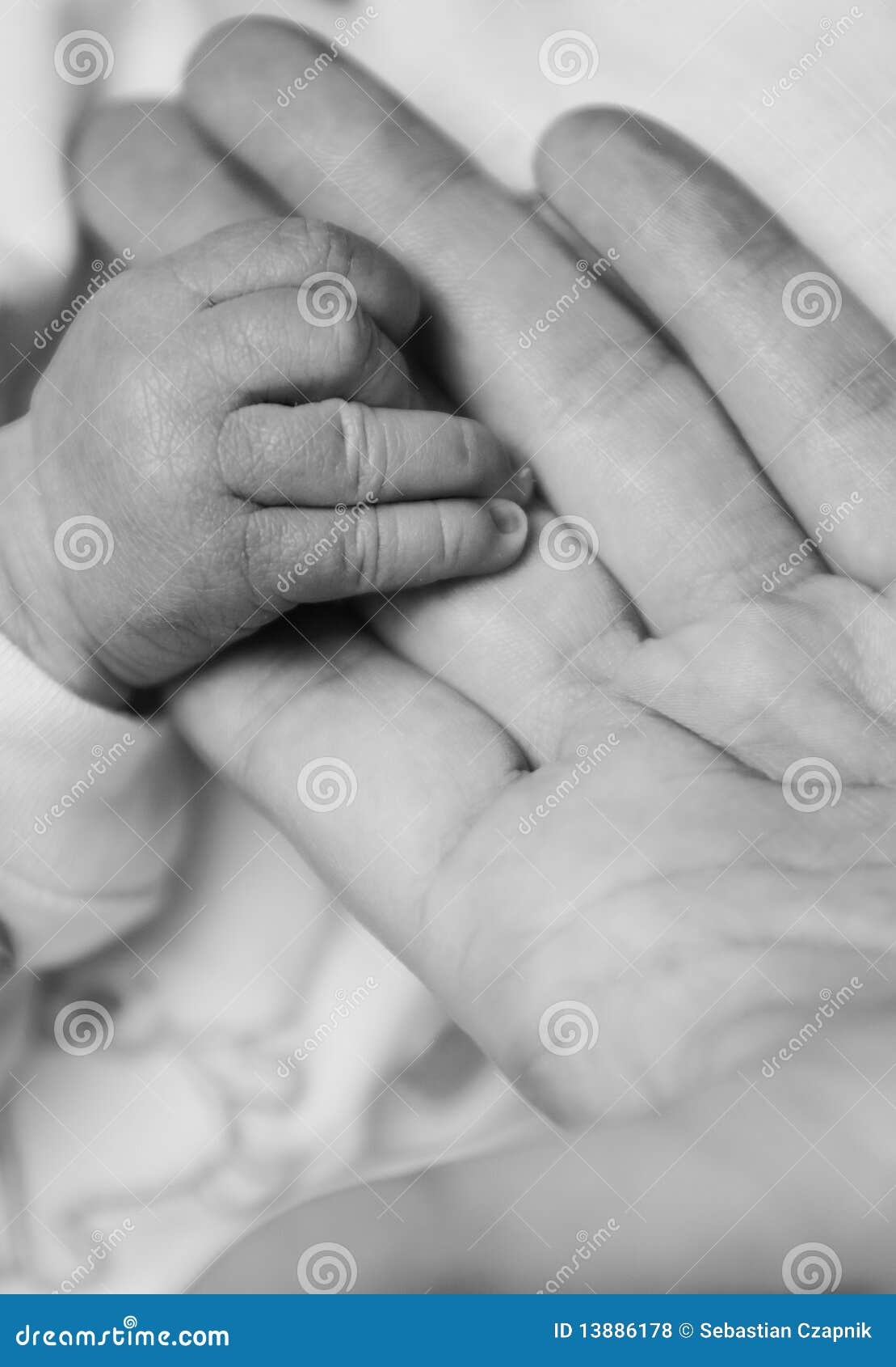 Baby holding parents hand stock photo. Image of holding - 13886178