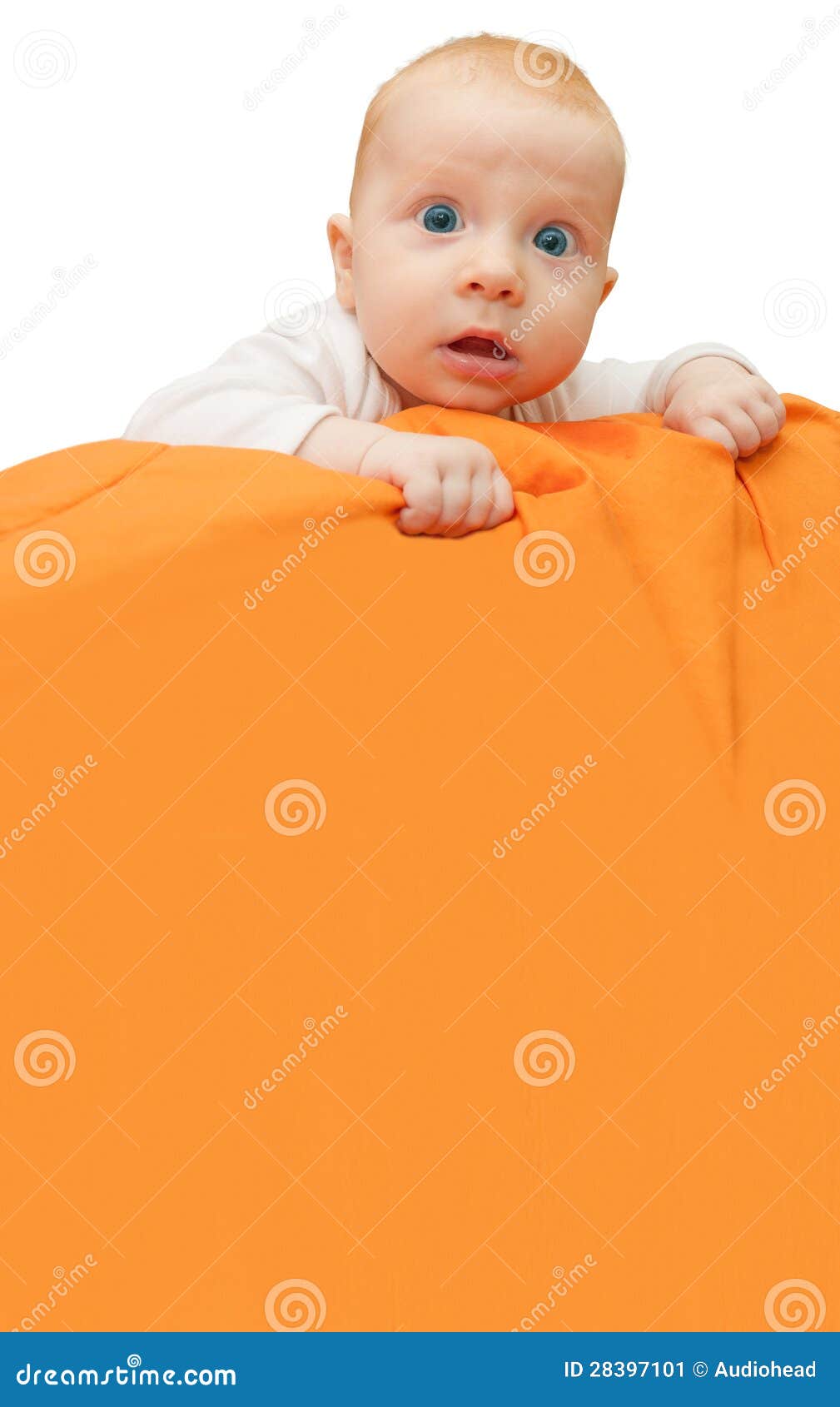 Baby Holding Sign stock image. Image of happy, holding - 28397101