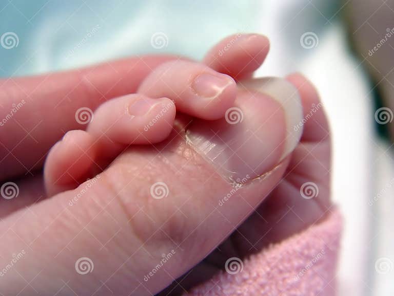 Baby Holding Thumb stock photo. Image of gentle, fingers - 2466
