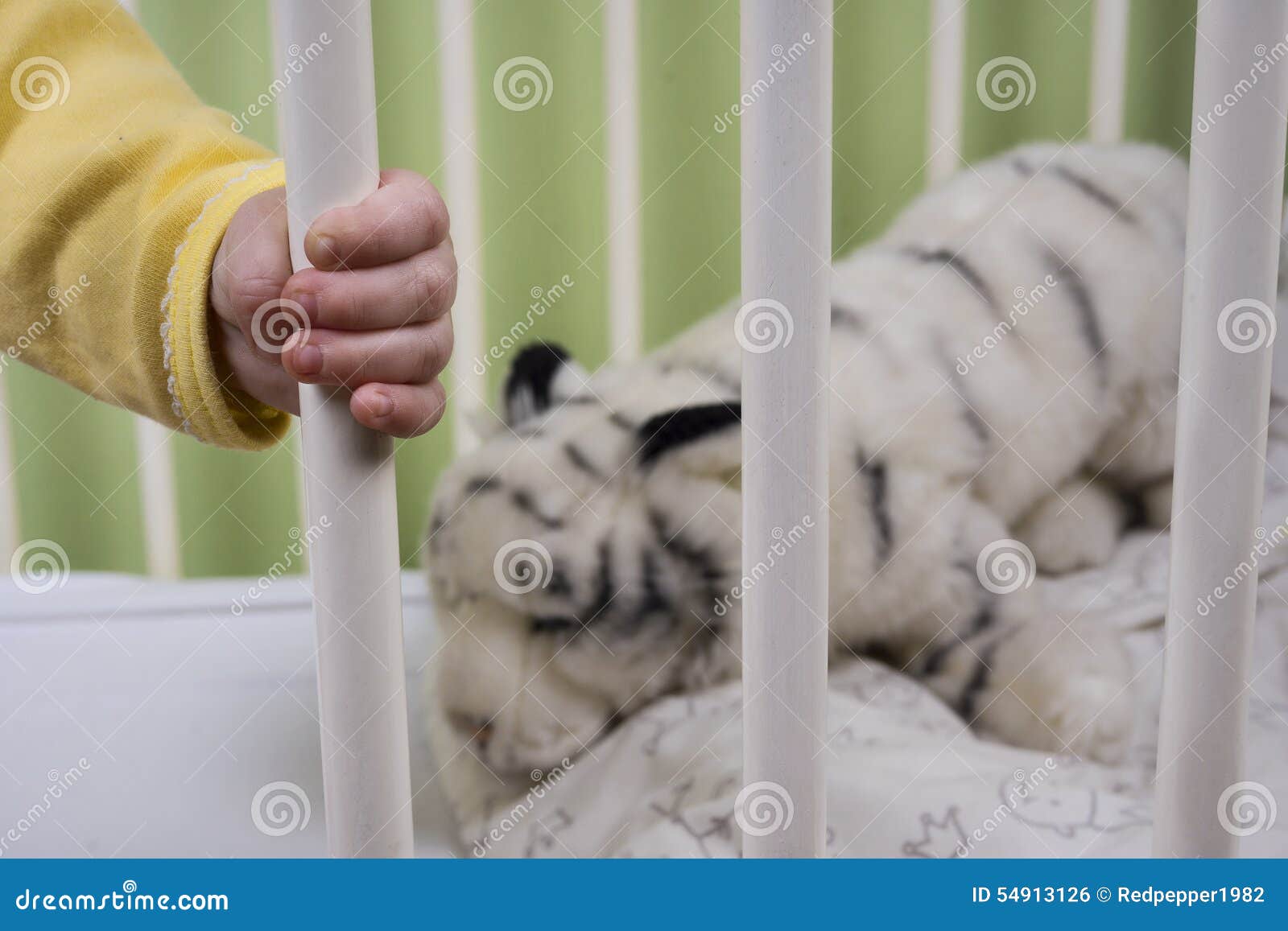 Toddler Hold Cage Stock Photos - Free & Royalty-Free Stock Photos from ...