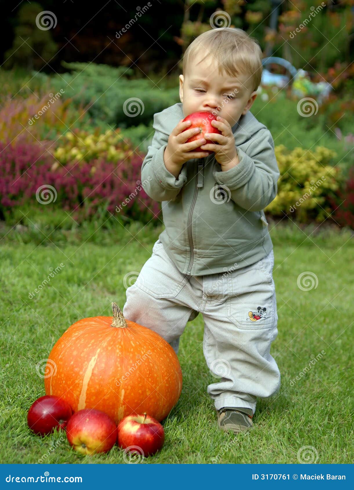 Baby Infant is Eating Apple Stock Image - Image of born, child: 3170761