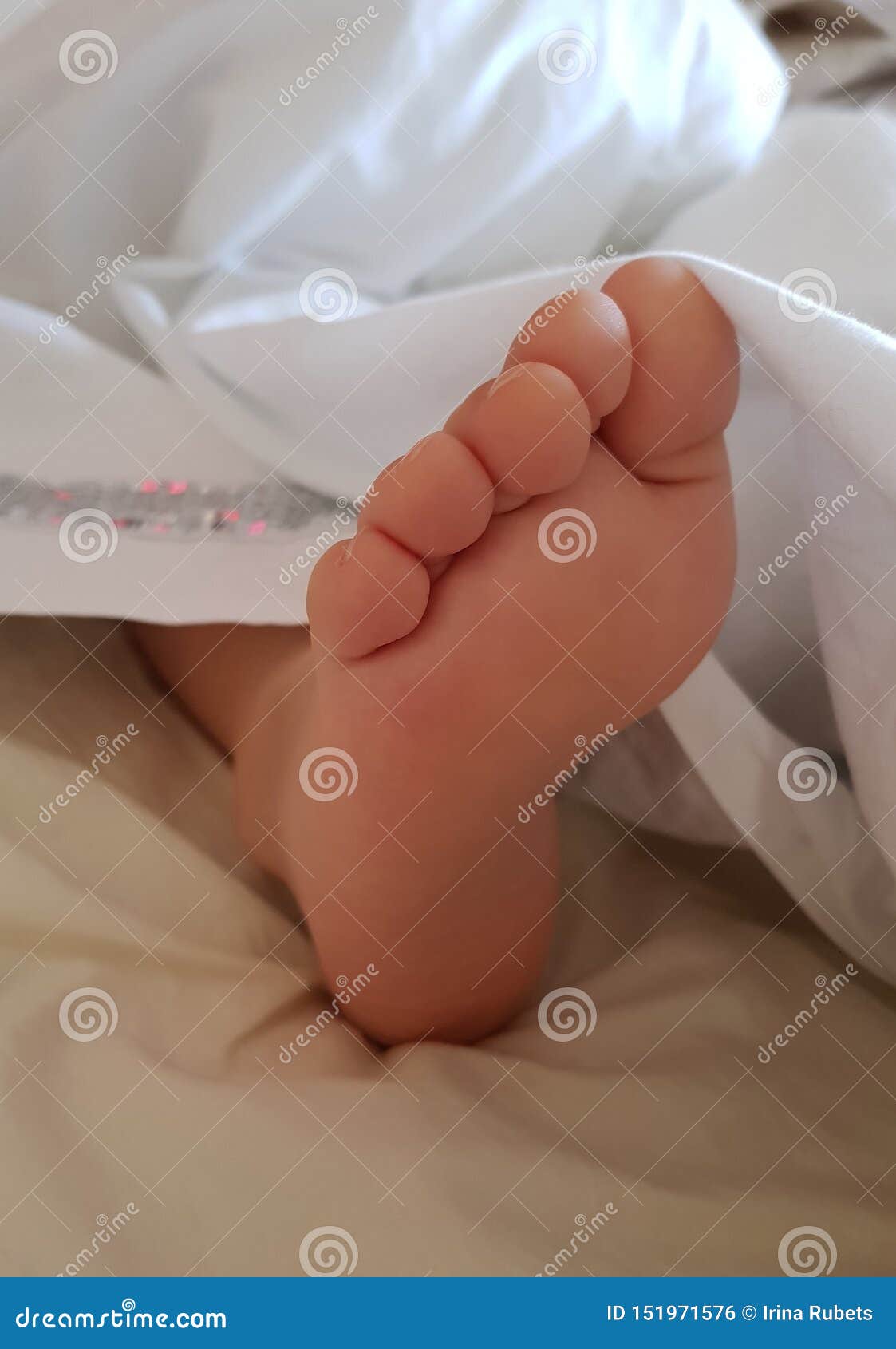 Baby toe stock photo. Image of infant, baby, album - 151971576