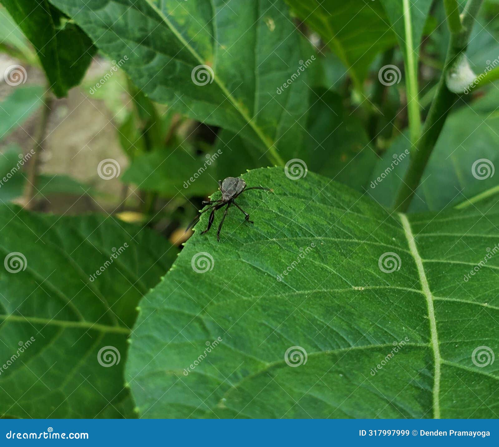 Baby Insects Pattern. Vector Cute Bugs Cartoon Repeat Background On A ...