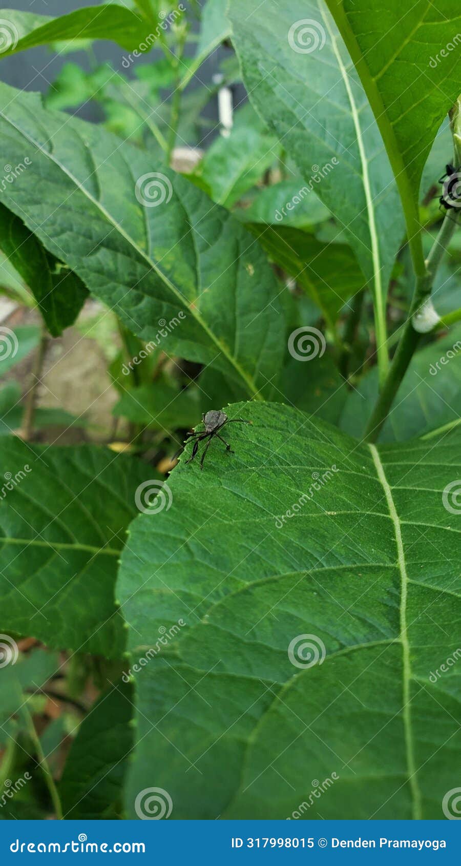 Baby Insects Pattern. Vector Cute Bugs Cartoon Repeat Background On A ...