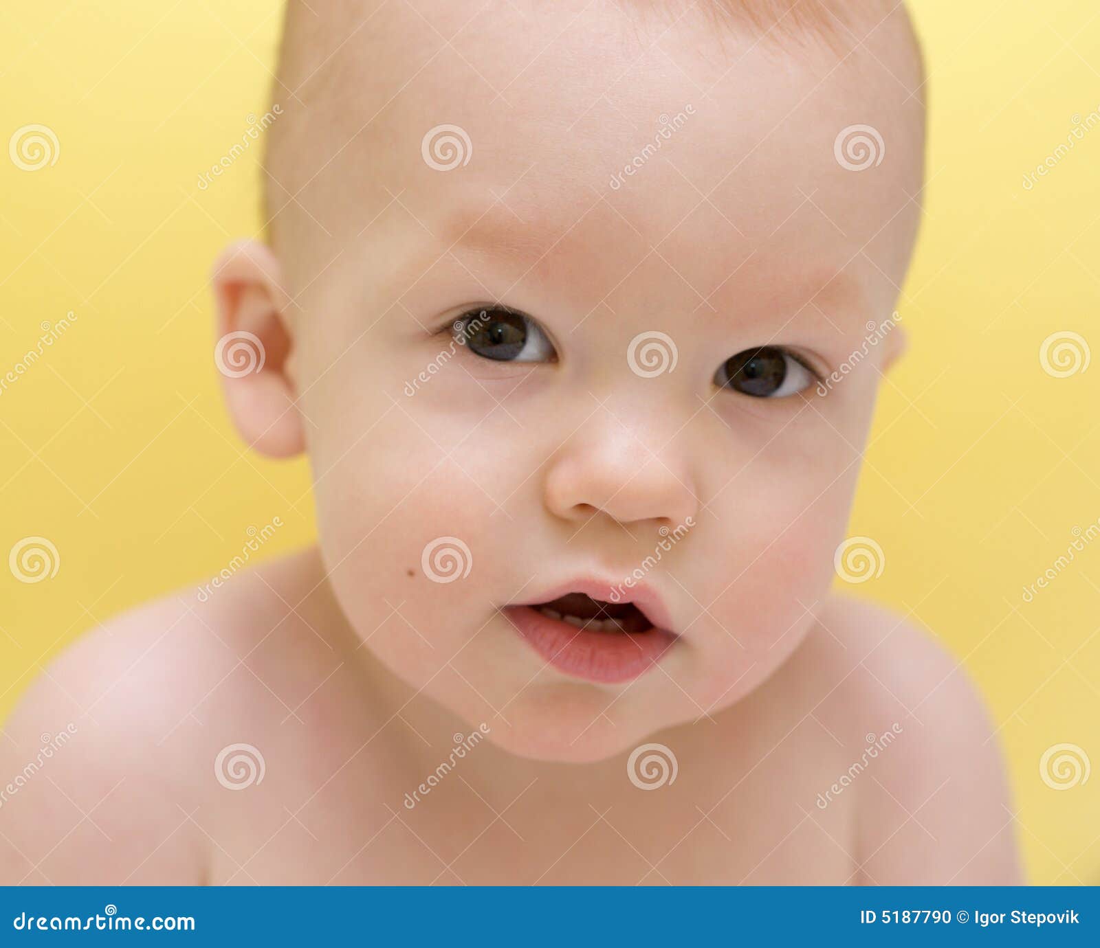 Baby with Interest Looking at Camera Stock Photo - Image of caress ...