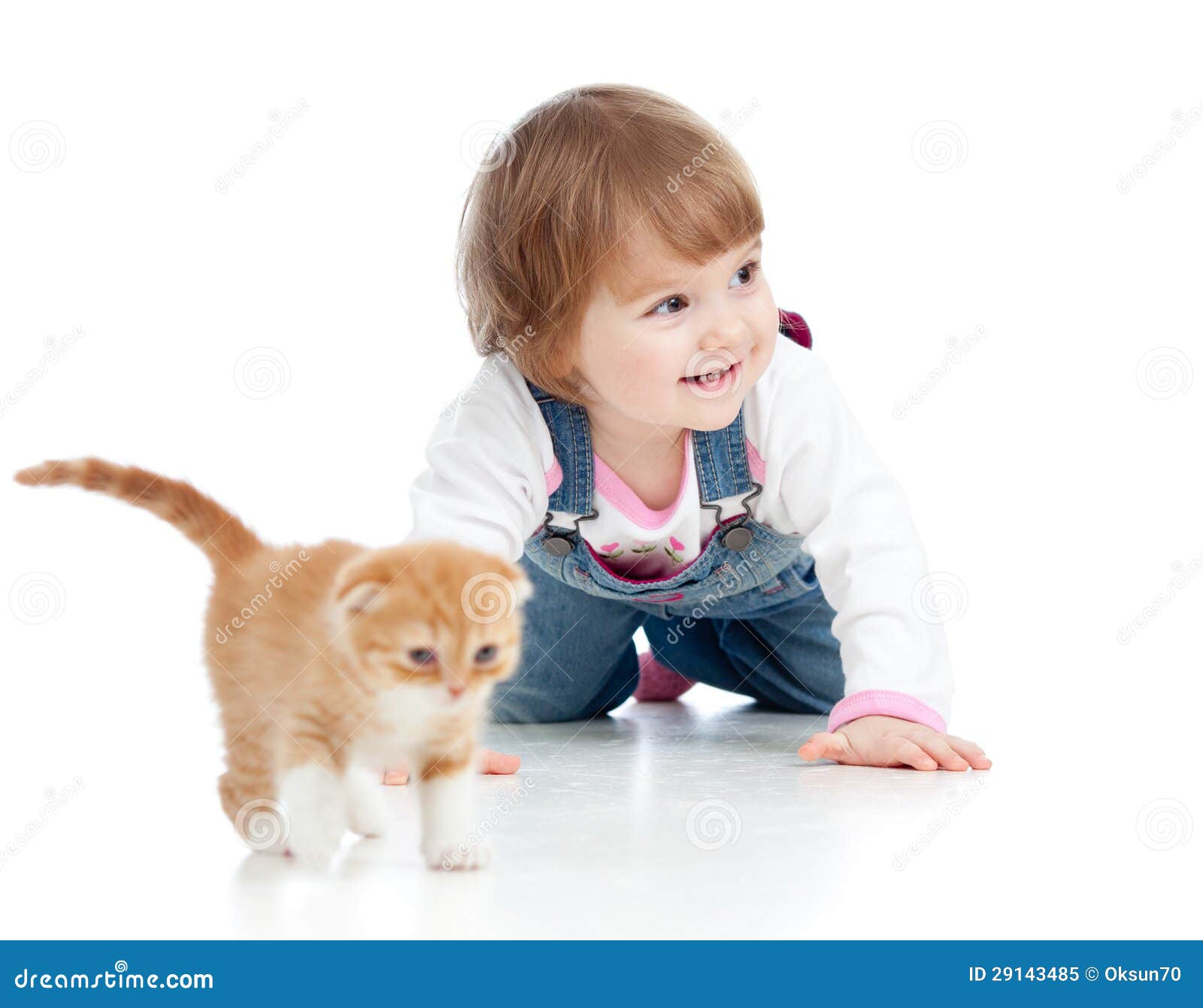 Baby Kid Playing with Cat Kitten Stock Image - Image of adorable ...