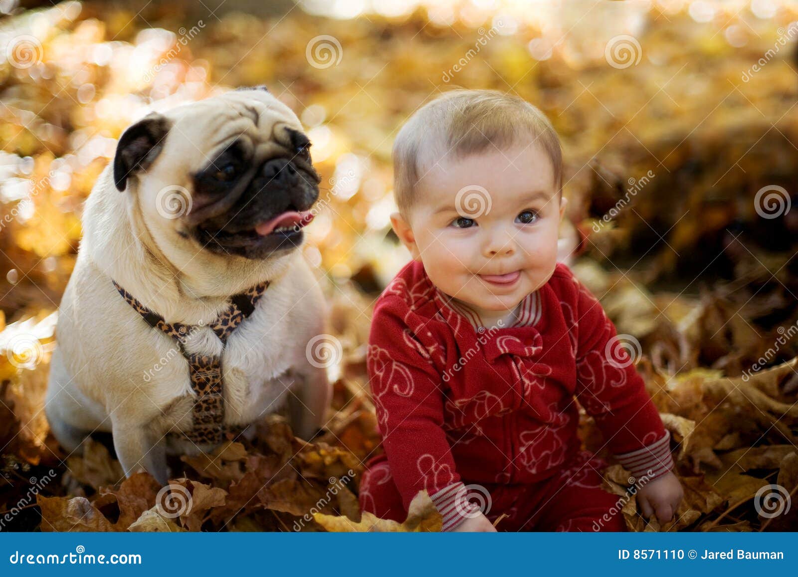 Baby Kid with Pug Dog stock photo. Image of smiling, love - 8571110