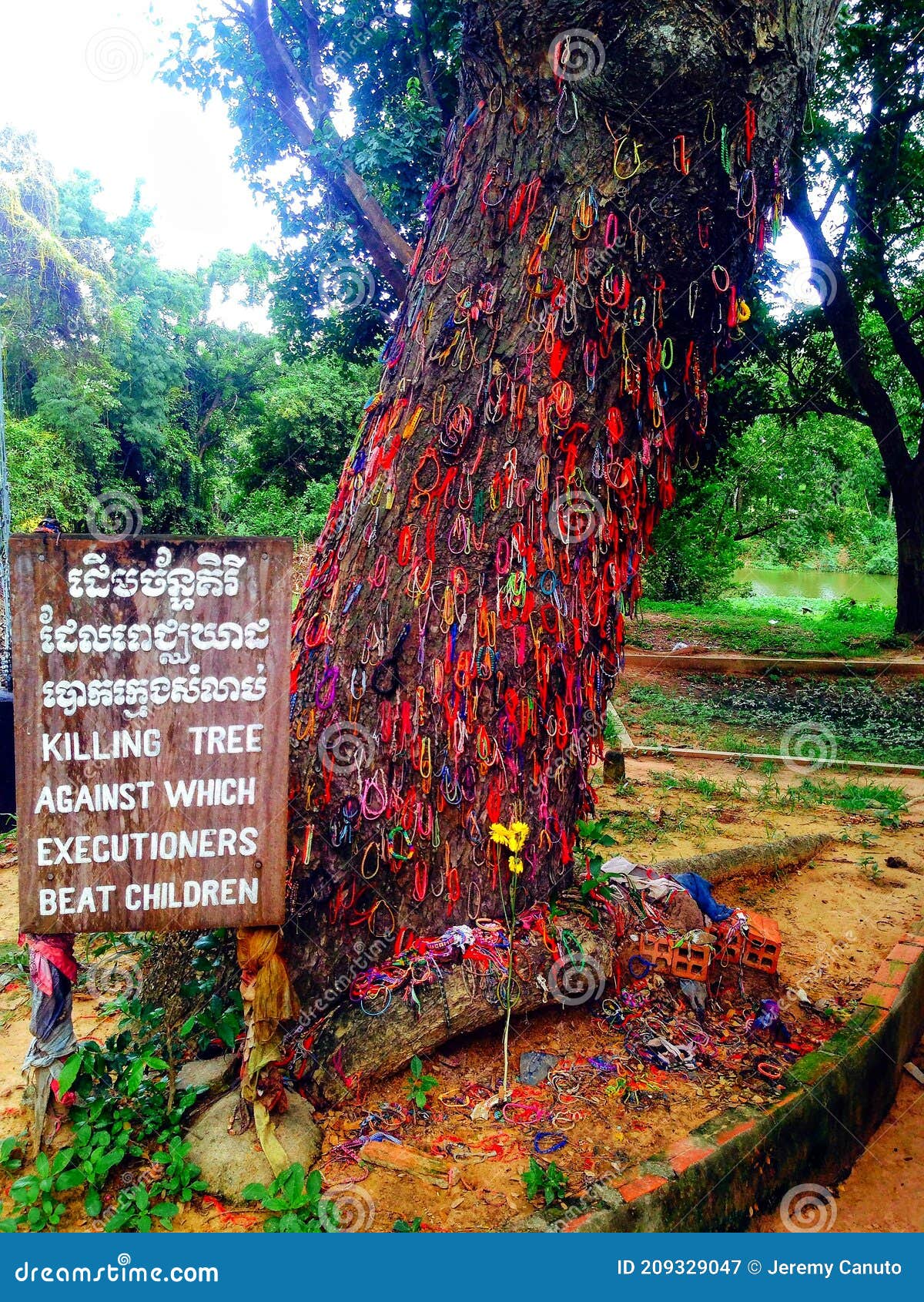 Baby killing tree Cambodia stock image. Image of leaf - 209329047